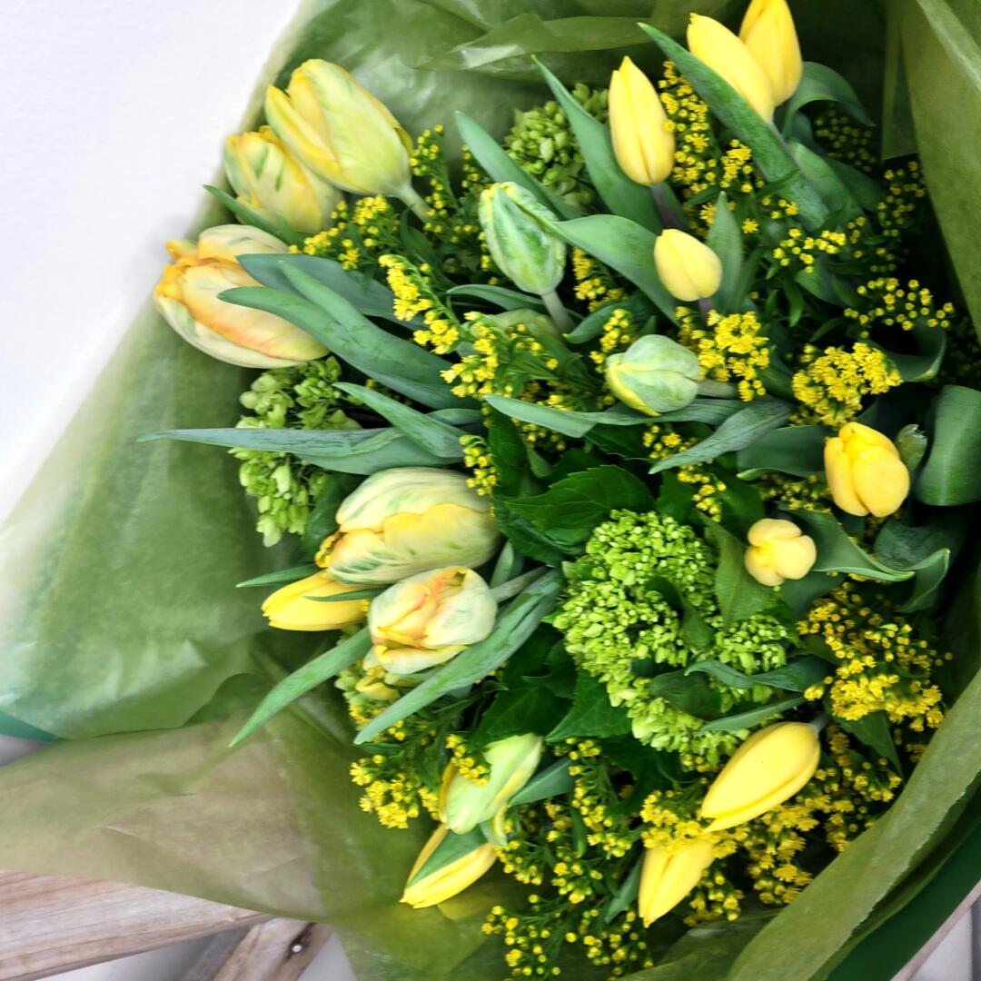 Yellow Tulips and Green Hydrangea 'Sunshine Bouquet'