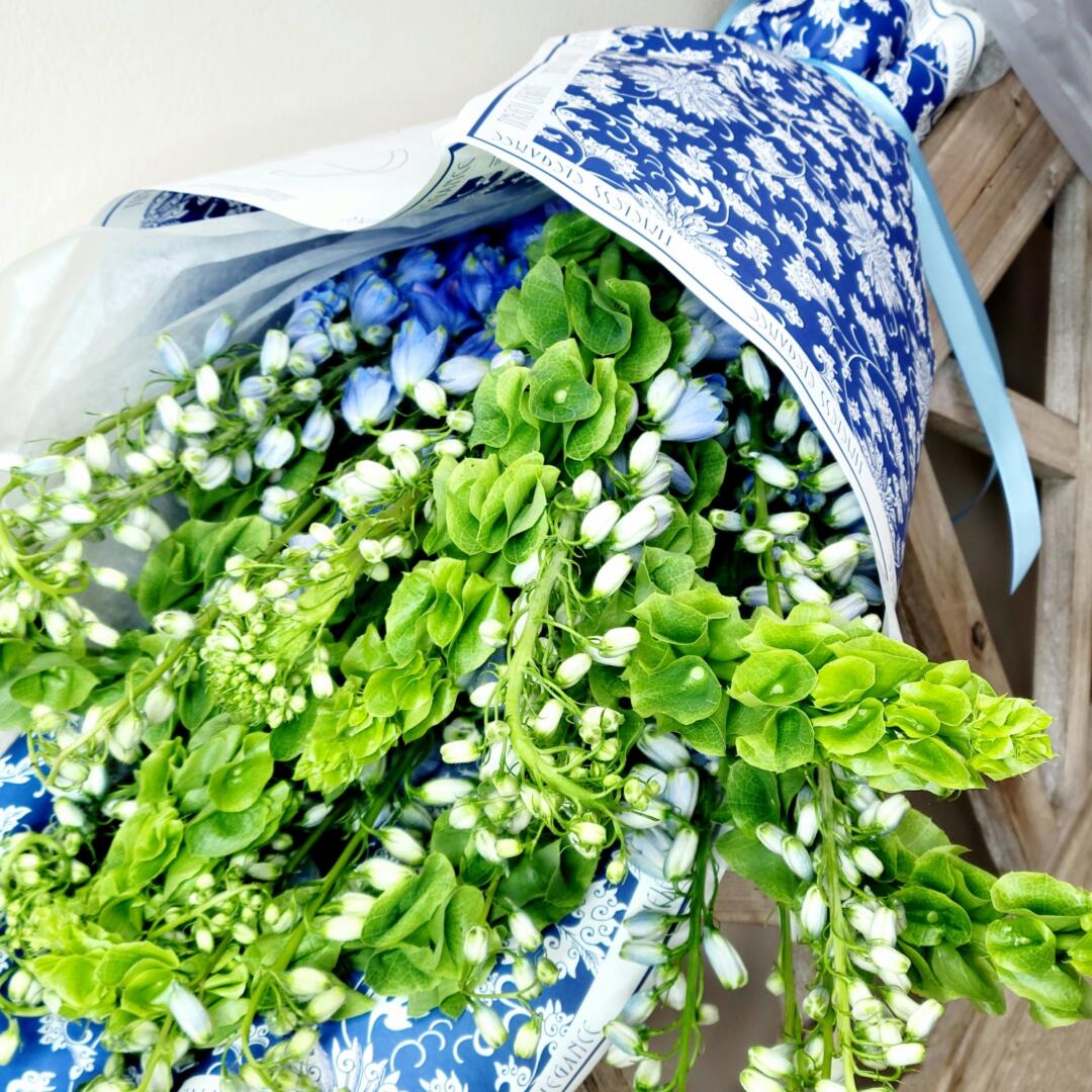 Blue Delphinium and Bells of Ireland 'Emerald"